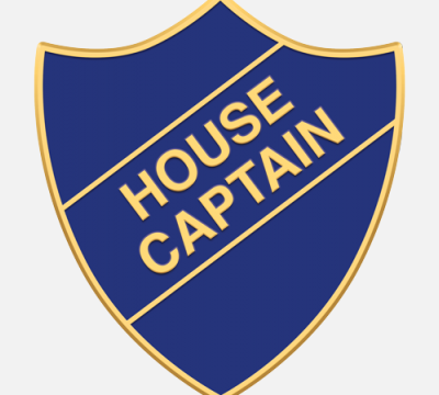 School Council - Delhi World Public School